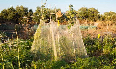 Τα Μυστικά του Κήπου | Garden Blog
