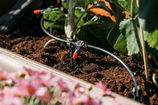 Micro-Drip: σύστημα ποτίσματος με σταγόνα από την Gardena | Τα Μυστικά ...